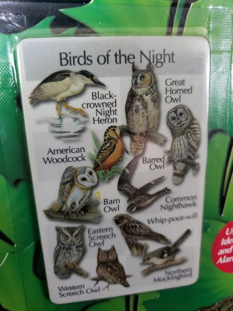 IdentiFlyer Birds of The Night Songcard SCFB1 for sale online | eBay
