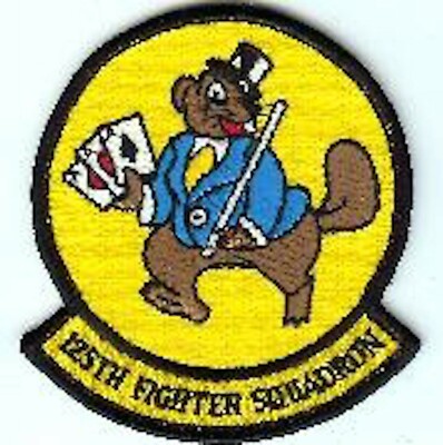 USAF AIR FORCE 125FS BEAVER FRIDAY FIGHTER SQUADRON Y EMBROIDERED ...