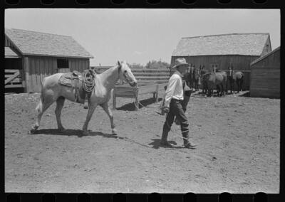 Cowboy leading horse which he has just saddled. Cattle ranch near Spur ...