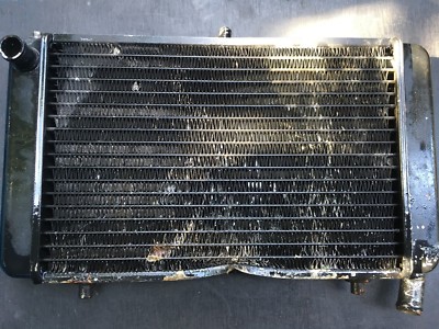 1996 Aprilia RS 125 Radiator RS125 1996 - 2005 | eBay UK