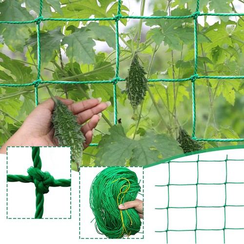 Elastic Scrog Trellis Net Garden Plant Climbing Support Netting Grow ...