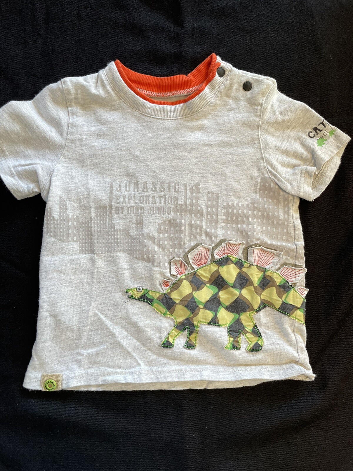 Catimini (France) EUC Grey/Green/Orange Appliqué Dinosaur T-Shirt-18Mos ...