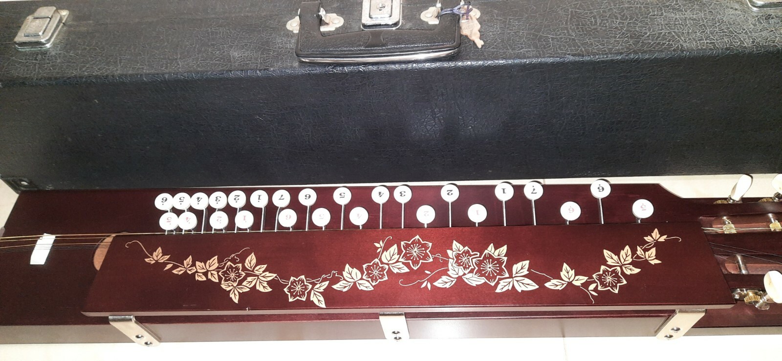 Beautiful Taishogoto SAKURA Acoustic Taishogoto with Hard Case | eBay