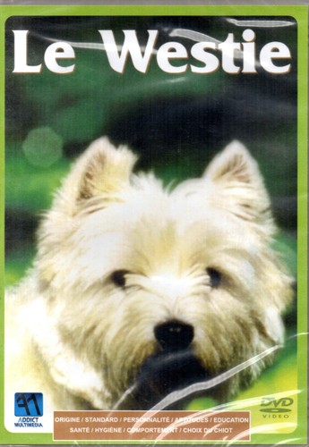 LE WESTIE - Origine, Personnalité, Aptitude, Education, Santé, Hygiène ...