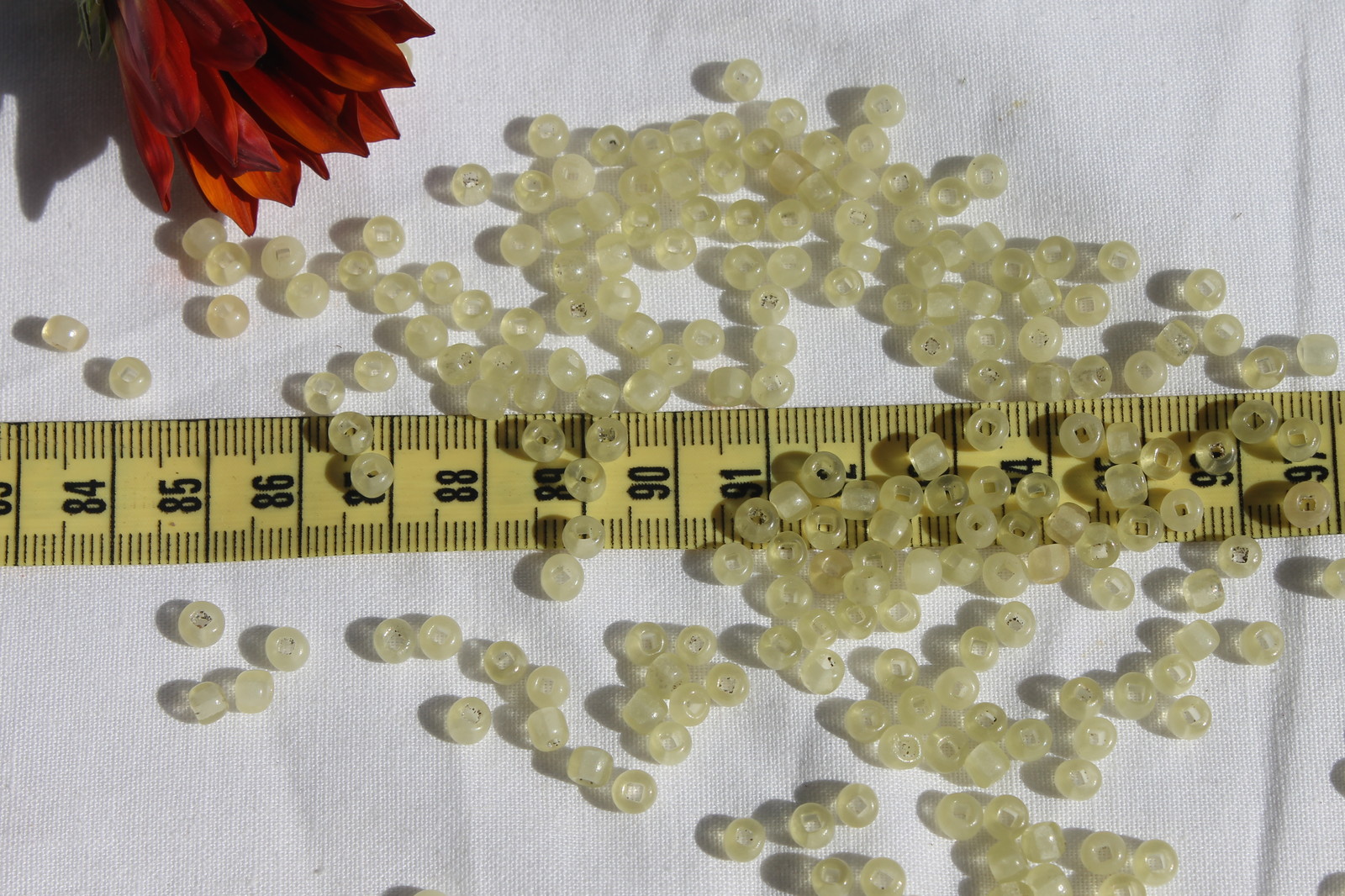 5/0 Old Time Vintage Venetian Greasy Pale Yellow Seed Beads/1oz | eBay