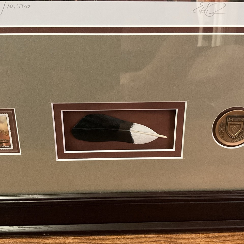 Ducks Unlimited 2020-21 Federal Duck Stamp Print Black Bellied ...