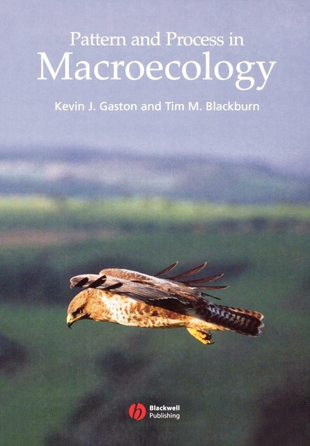 Pattern And Process in Macroecology von Tim Blackburn (2000 ...