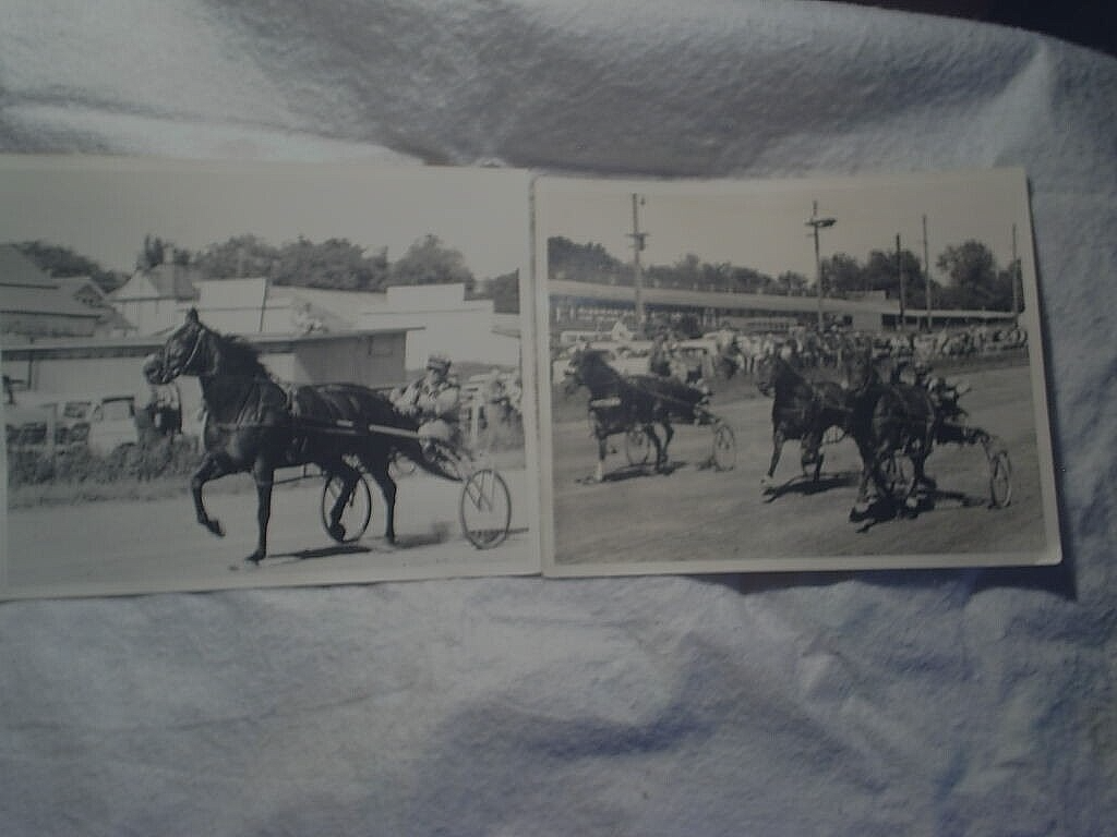 2-EARLY 1960s MATTI FORBES HARNESS RACING HORSE 10 x 8 PHOTO,Trotter ...