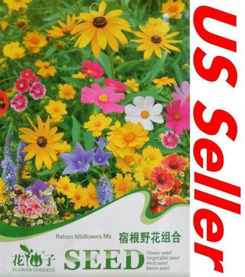 200 Seeds Ratoon Wildflowers Mix Seeds G117, Perennial Wildflower Mix ...