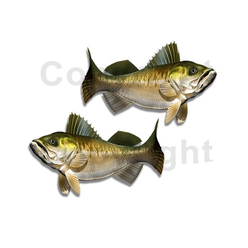 Walleye Sticker Decal Fishing RV Boat Car Truck Camper Trailer F109 2 ...