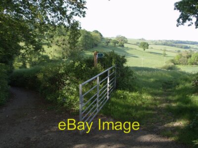 Photo 6x4 East Devon Way below Bulmoor Combpyne The green lane from ...