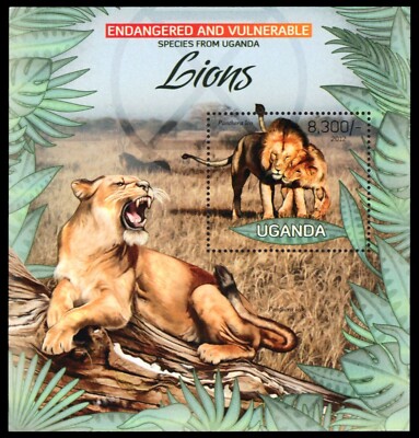 UGANDA 2014 - African Lion "Panthera leo" (pb63892) | eBay