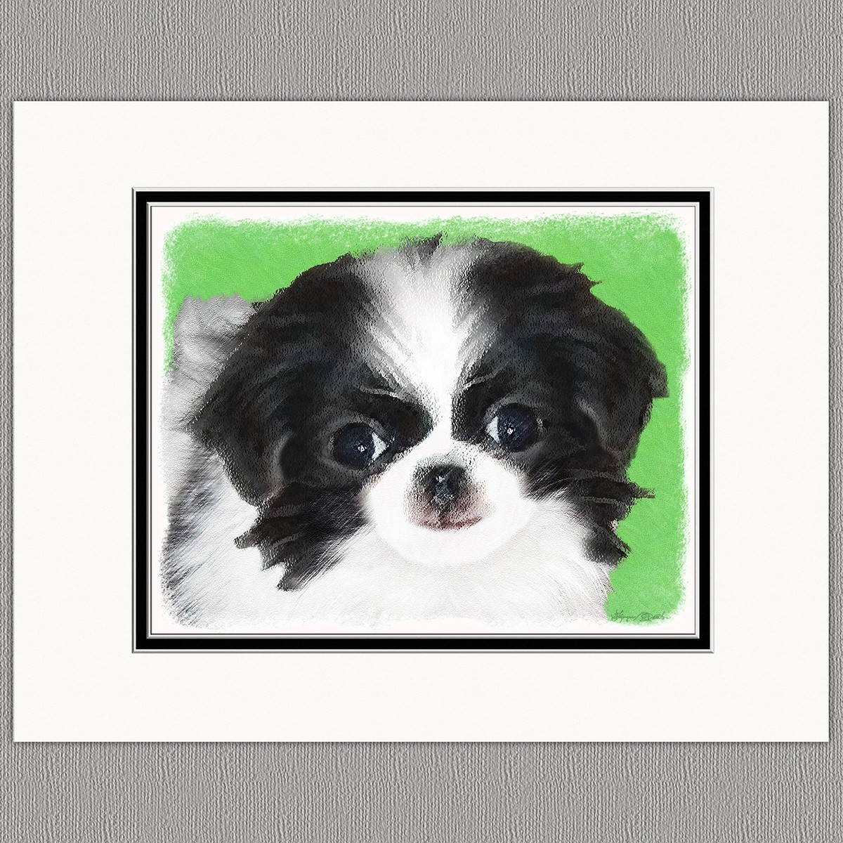 Japanese Chin Drawing
