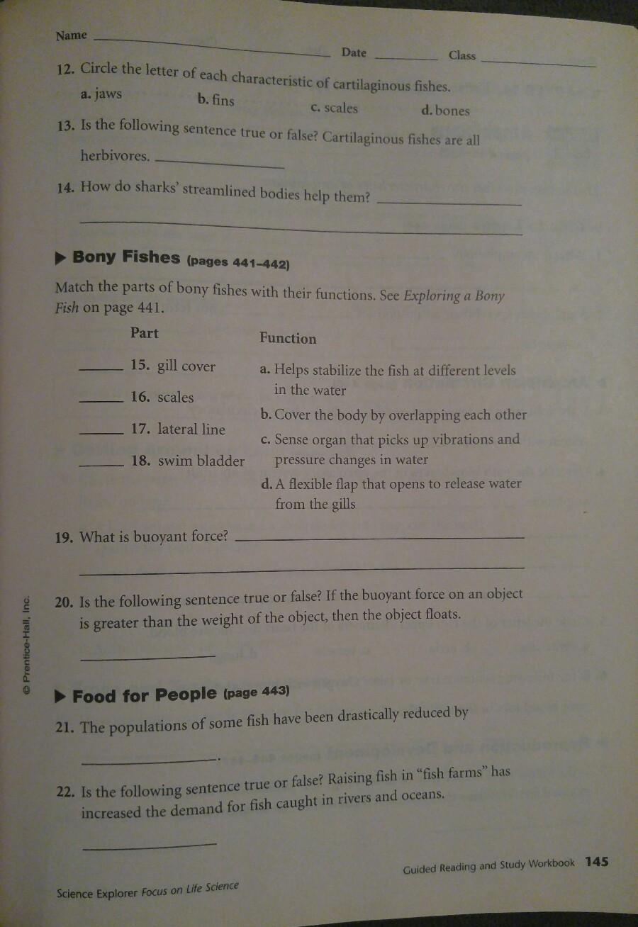 Prentice Hall LIFE Science 7th Grade 7 CD ROM & WORKBOOK HOMESCHOOL ...