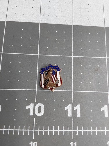 Daughters of Liberty D of L Patriotic Pin | eBay