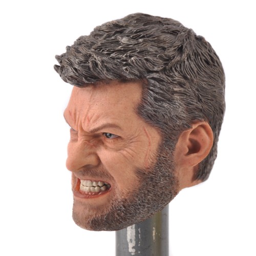 1:6 Wolverine Angry Face Version Head Model Toy For 12" no neck Body ...