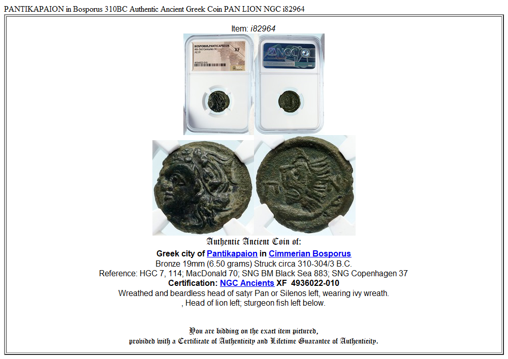 PANTIKAPAION in Bosporus 310BC Authentic Ancient Greek Coin PAN LION ...