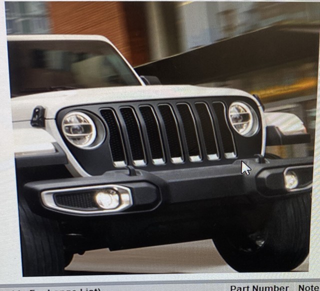 Genuine Mopar Applique Grille White 82216413AA for sale online | eBay