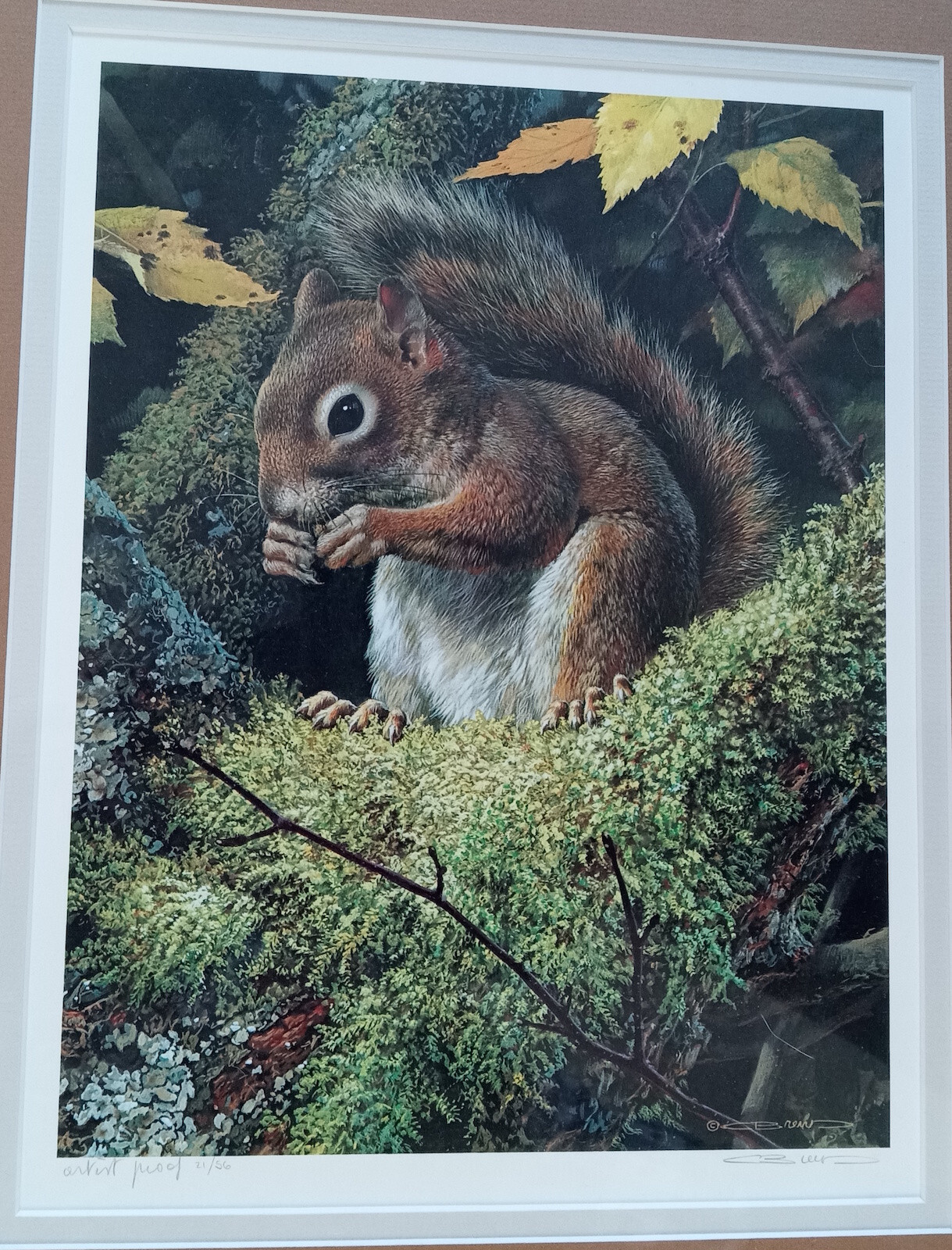 Carl Brenders framed print Acrobat's Meal squirrel ARTIST PROOF 21/56 ...