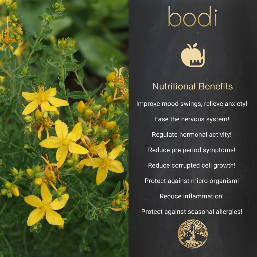 St Johns Wort Leaf Cut Dried | 4oz to 5lb | 100% Pure Natural Hand ...