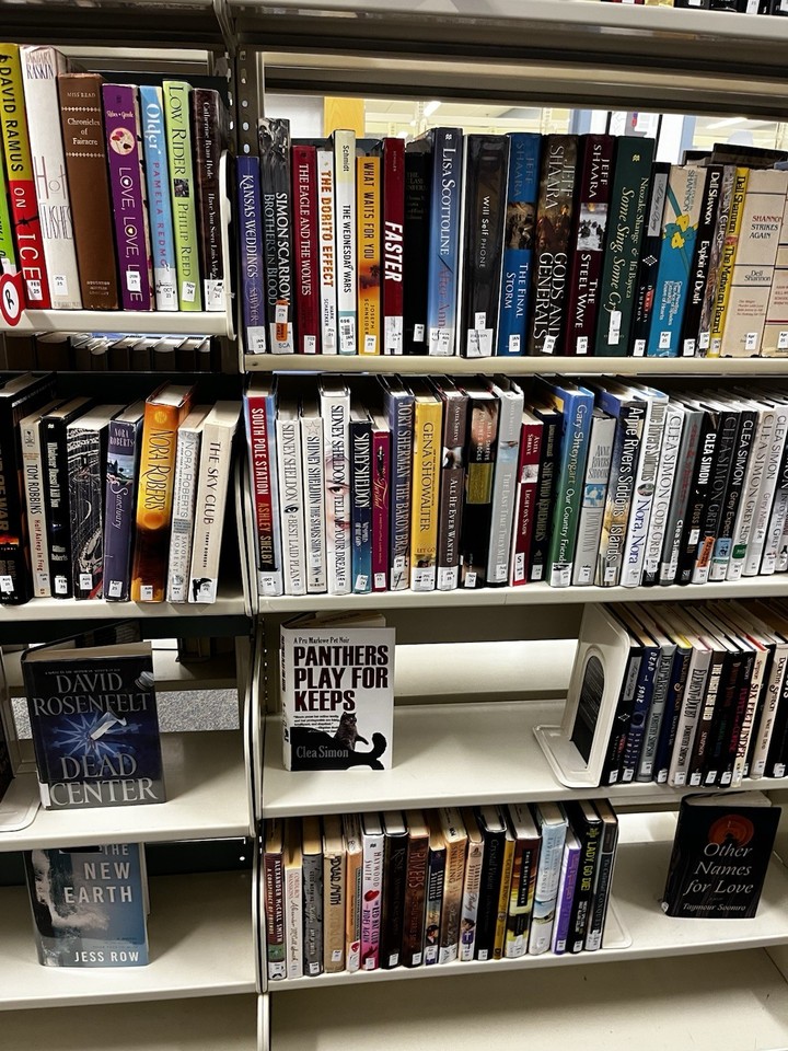 Wholesale Book Lot 202 Paperback/Hardcover Novels Cookbooks & More | eBay