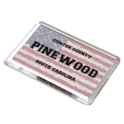 FRIDGE MAGNET - Pinewood - Sumter, South Carolina - USA Flag | eBay UK