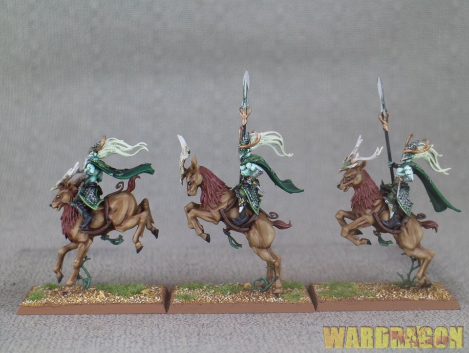 Warhammer AOS WDS painted Wood Elf Wild Riders b45 | eBay