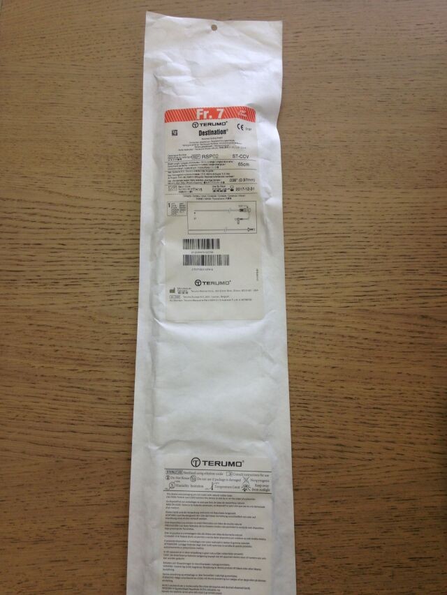 TERUMO RSP02 Destination Peripheral Guiding Sheath 7Fr x 65cm(X) For ...