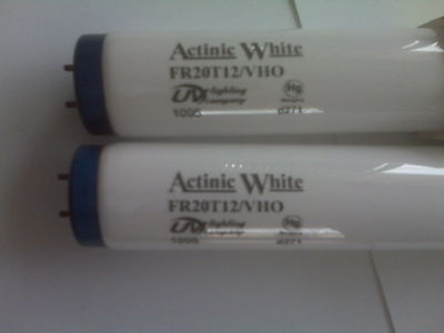 VHO-24" UVL/URI 2-75 Watt Actinic White T12 Bulbs For Fresh or Salt ...