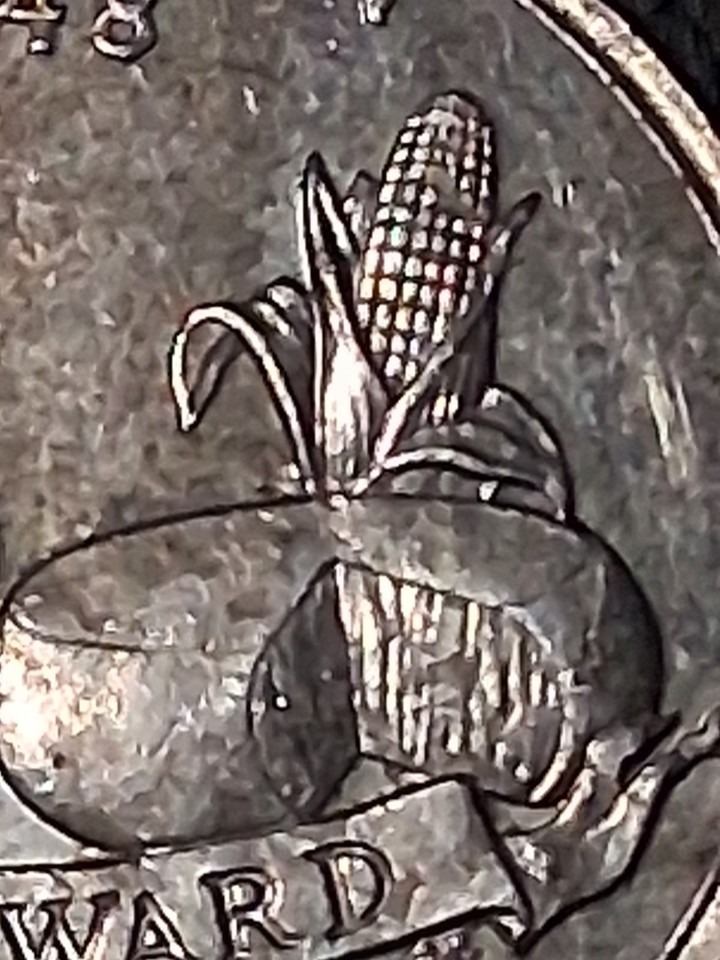 2004 D Wisconsin State Quarter, Error High Leaf On The Ear Of Corn | eBay