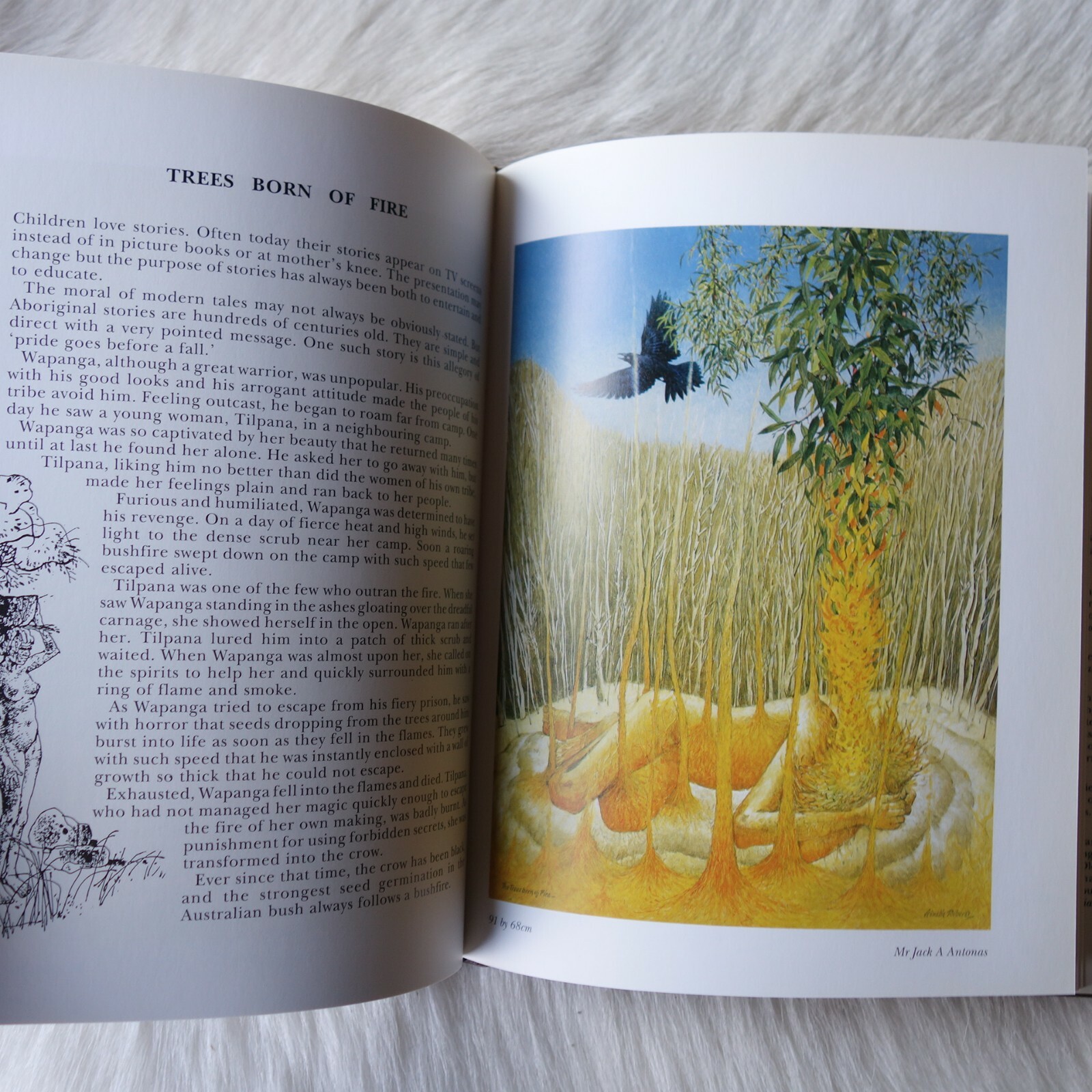 Dale Roberts Aboriginal Book 1989 Ainslie Roberts Art Vtg Frill Neck ...