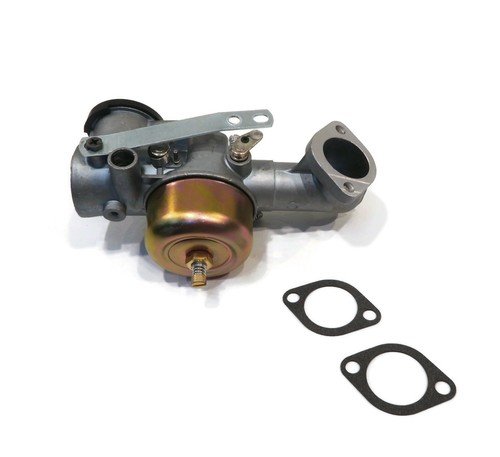 Carburetor with Gasket for Briggs & Stratton fits 190707-2511-01 ...