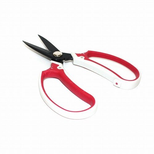 Japanese SENKICHI Bonsai Lite Scissors Hasami Ikebana Koryu Shears SGP ...