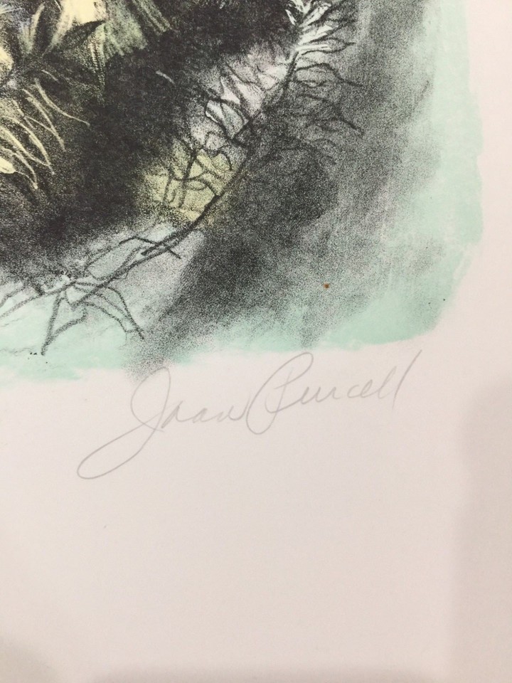 Joan Purcell– Lithograph - “Contemplation” – Printers Proof | eBay