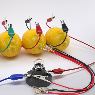Snap Circuits 5 Sets Fruit Battery Science Experiment Kit For Home ...