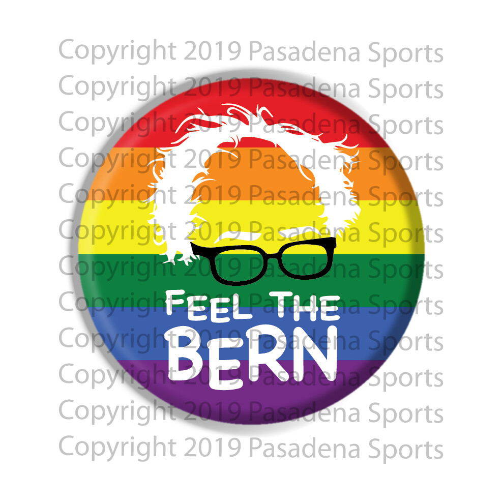 2020 FEEL THE BERN PRIDE, BERNIE SANDERS for PRESIDENT 2.25" CAMPAIGN ...