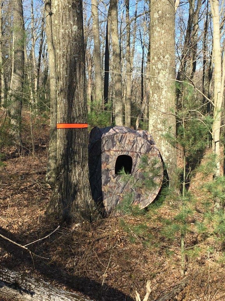 Orange Tree Band / Chest Band / Hunting Safety Band | eBay