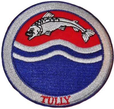 Game of Thrones Tully House Sigil Riverrun Logo 3" Diameter Patch | eBay