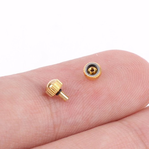 100Pcs Watch Knob Gold White Watch Crown Waterproof Will Fade Watch ...