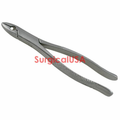 Extracting Forceps #99C Canine Pre Molars Dental Surgical Instruments ...
