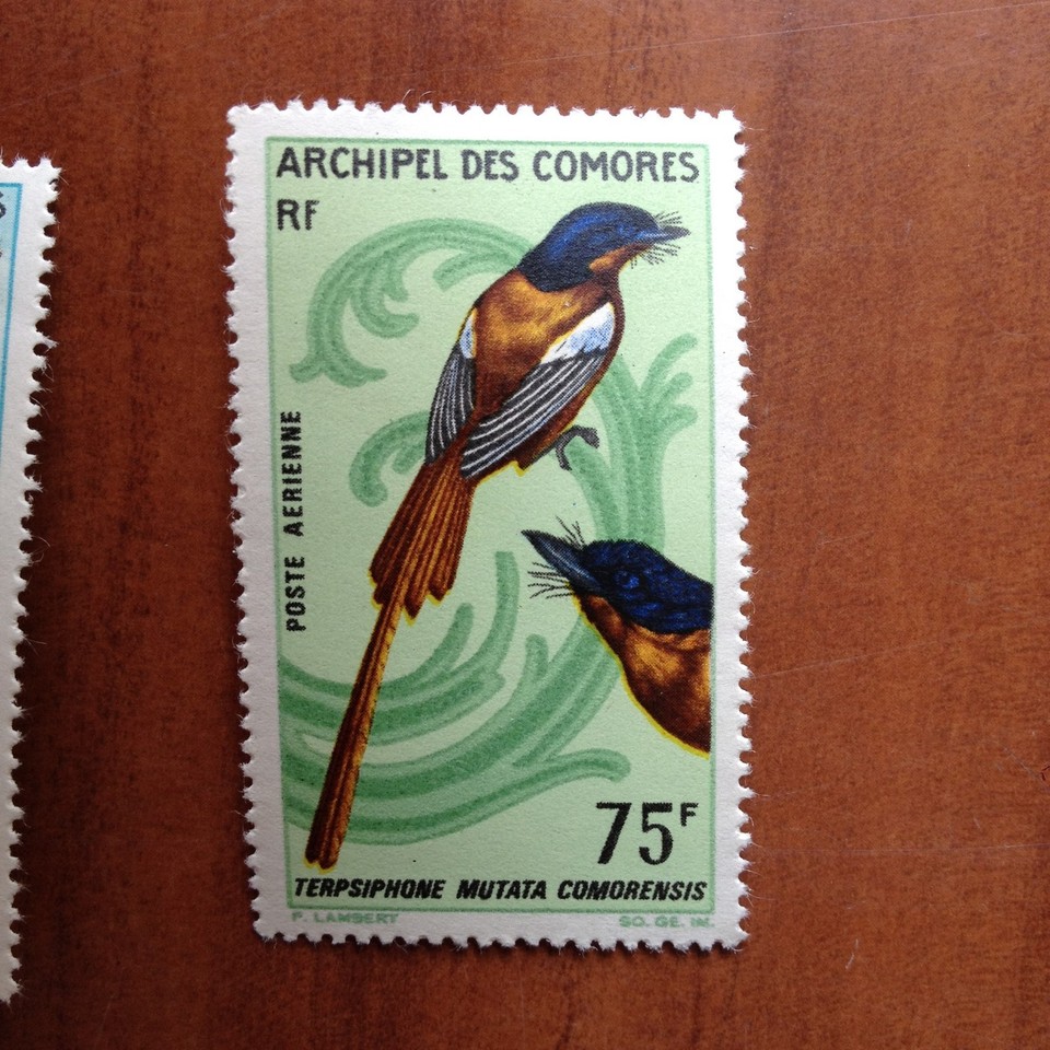 Comoros PA 20 ** MNH Birds In 1967 | eBay