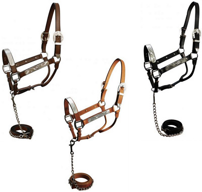 Leather + Silver Horse Show Halter + Lead w/ Chain Dark Brown Black ...