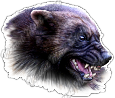 Wolverine Animal Png