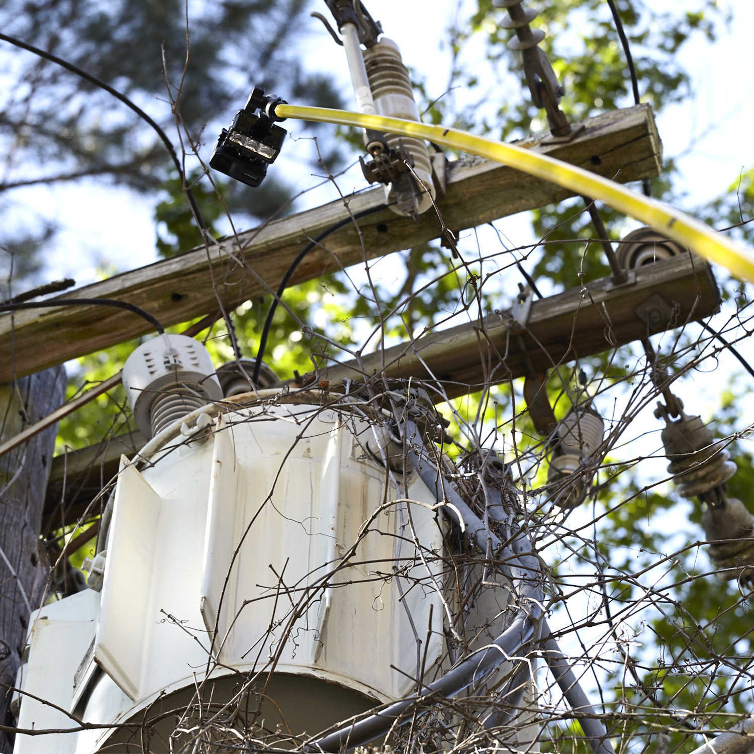 Hastings Insulated Camera Mount Hot Stick | eBay