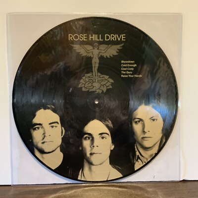 Rose Hill Drive, Picture Disc LP NM | eBay
