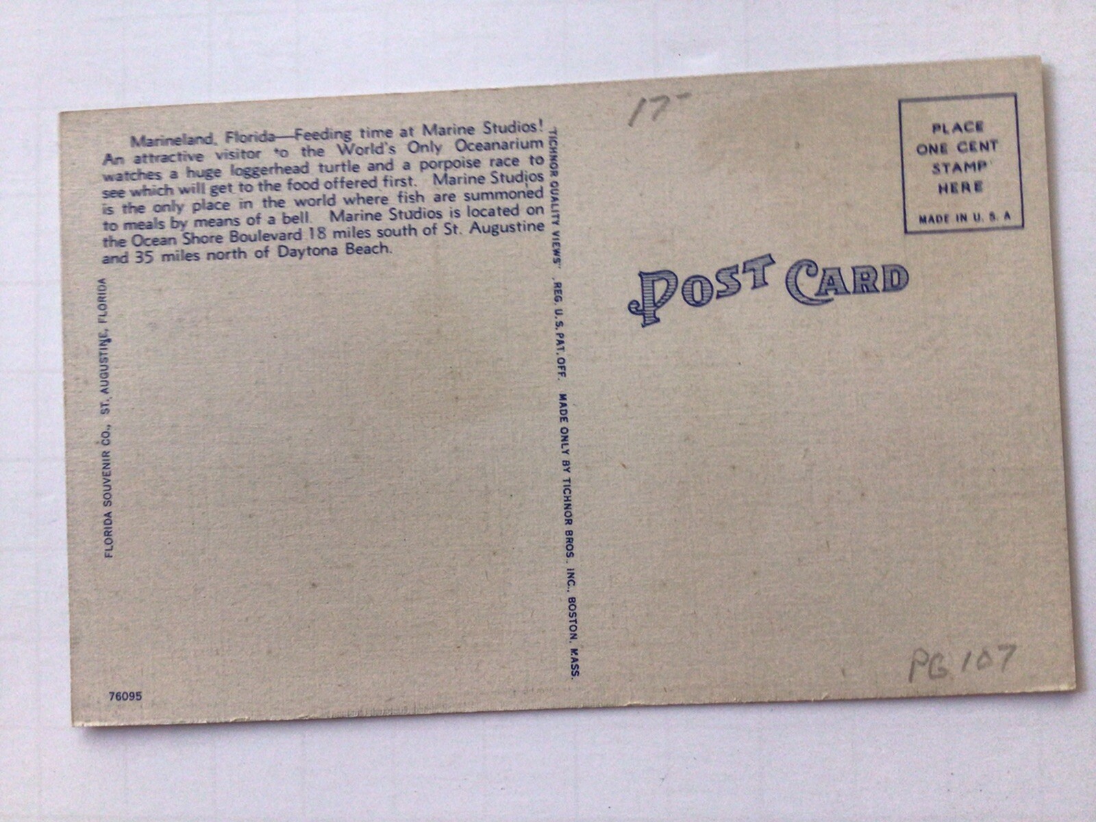 Marineland, Florida Postcard View Through Porthole Dolphin Turtle ...