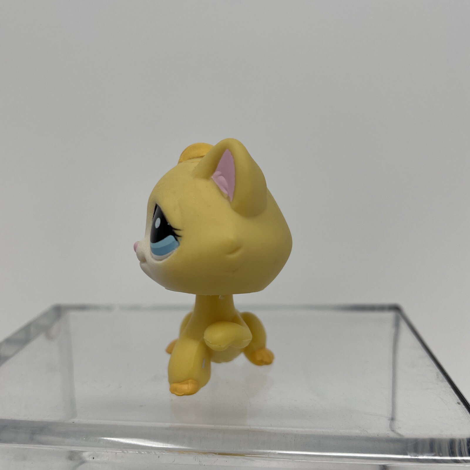 LPS Littlest Pet Shop 1035 Yellow and White Cat Blue Dot Eyes Hasbro | eBay