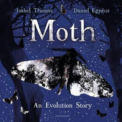 Moth By Isabel Thomas | eBay