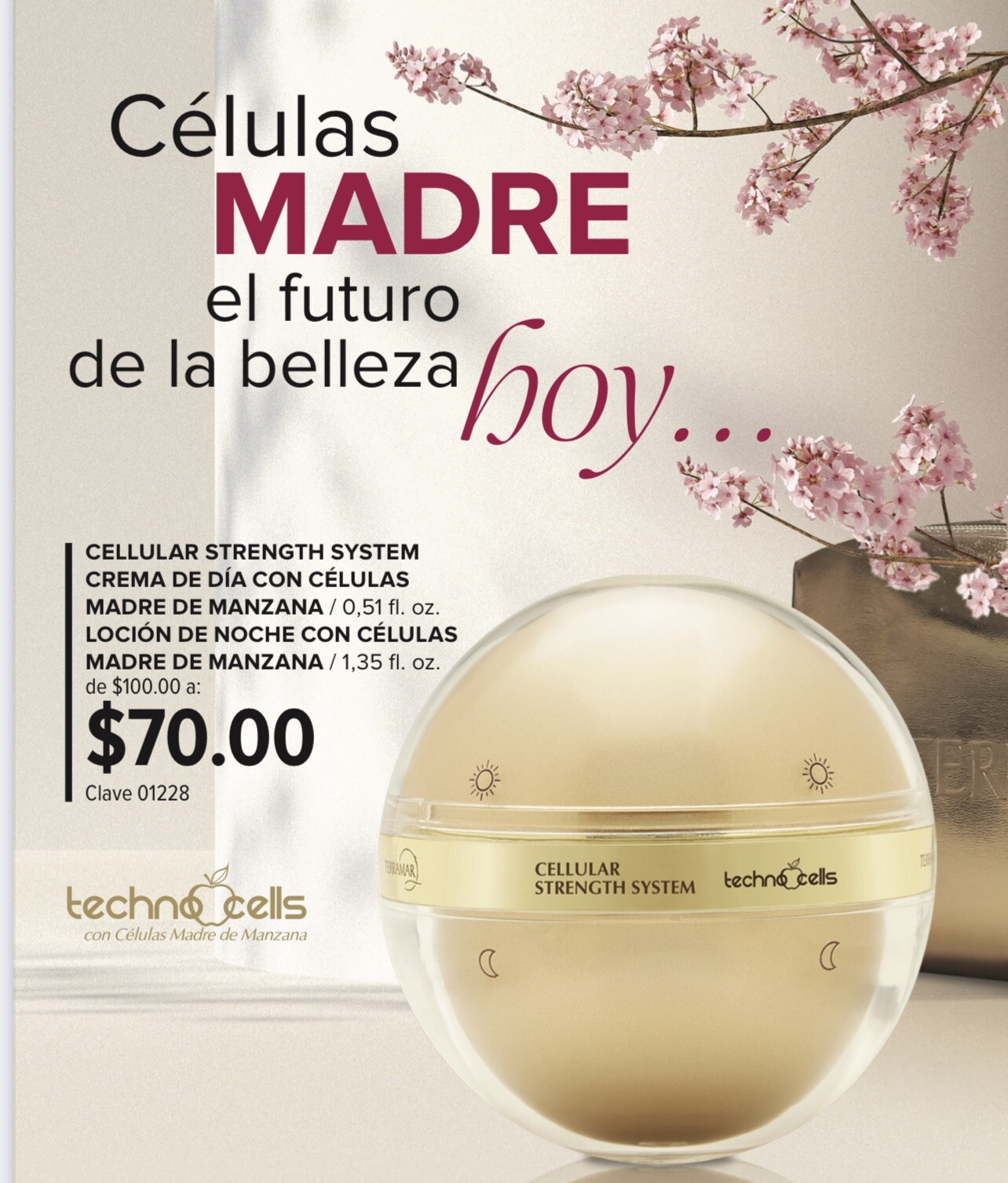 cellular strength system Cream For Day And Night. Célula Madre Terramar ...