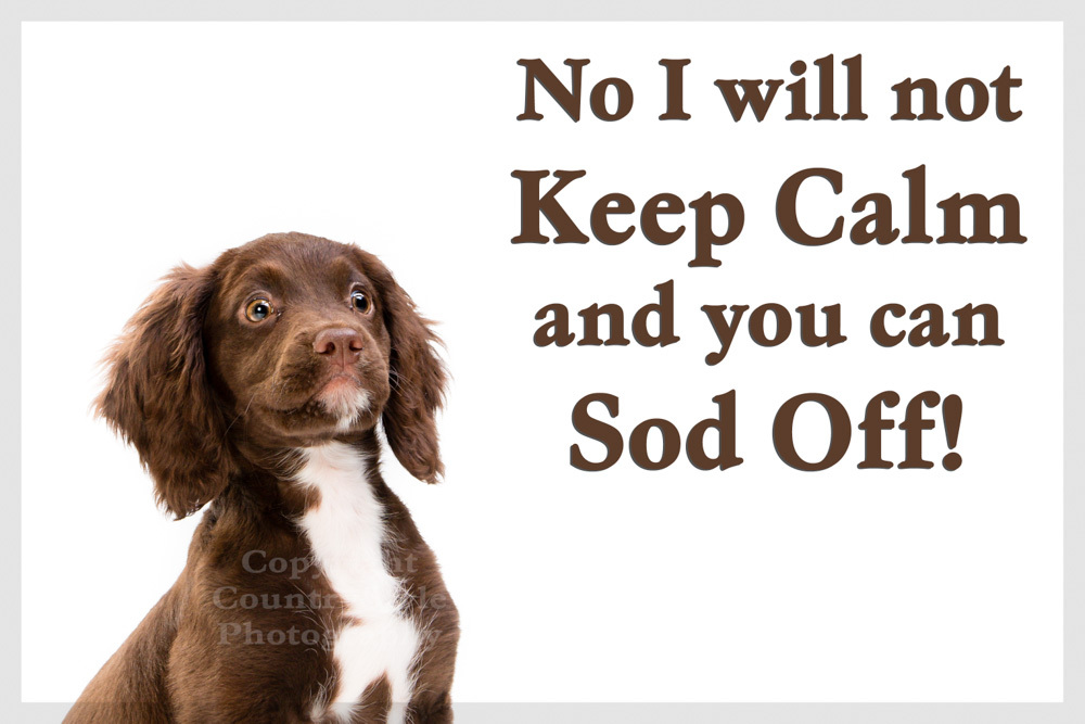 Brown Sprocker Cocker Spaniel Dog Funny Fridge Magnet birthday or ...